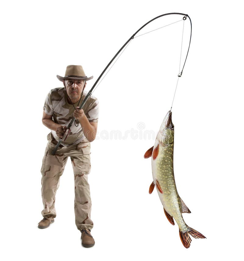 Fiskpik fotografering för bildbyråer. Bild av angus, sötvatten - 75551245