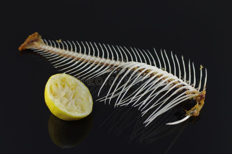 Benfisk fotografering för bildbyråer. Bild av bakgrunder - 21766243