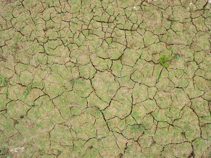 Sol aride photo stock. Image du desséché, ground, sécher - 38214476