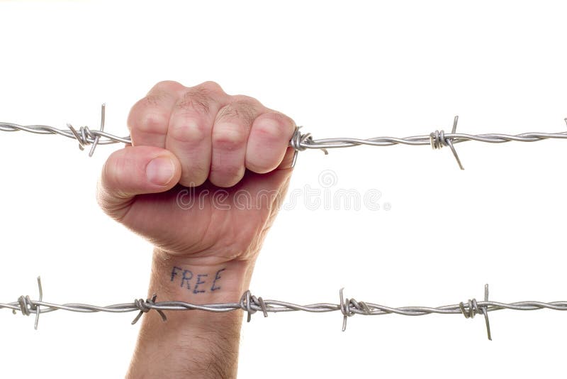 Fist & barbed wire stock image. Image of confinement - 6158003