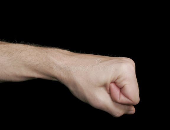 Fist - Closed Human Hand stock photo. Image of left, beat - 3099940