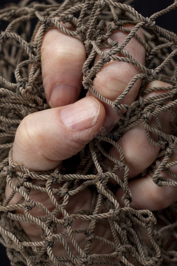 Fist in net stock photo. Image of male, fist, caught - 13337074