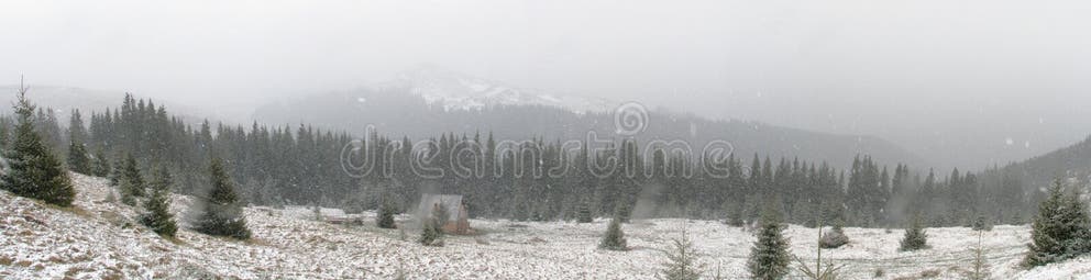 Fist snowfall stock photo. Image of snow, frost, tranquil - 3724324