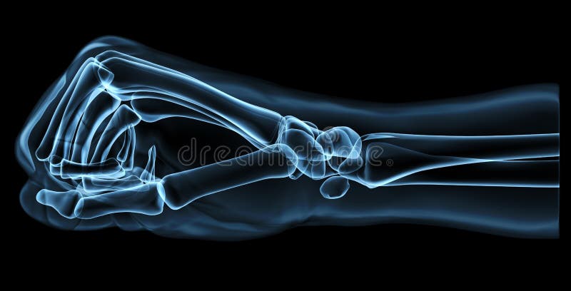 Side View Human Spine Body Stock Illustrations – 447 Side View Human ...