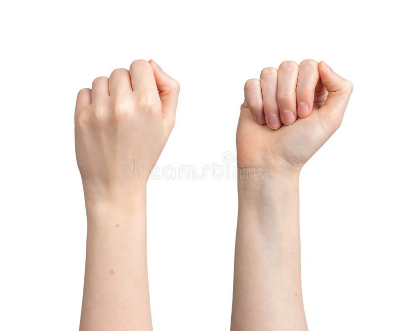 Raised Fist Symbolizing Power and Resistance, Isolated on White. Male ...
