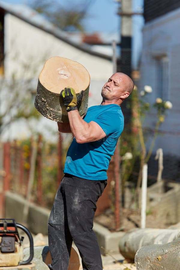 Fit Lumberjack Carrying Beech Logs Stock Photo - Image of beech, wood ...