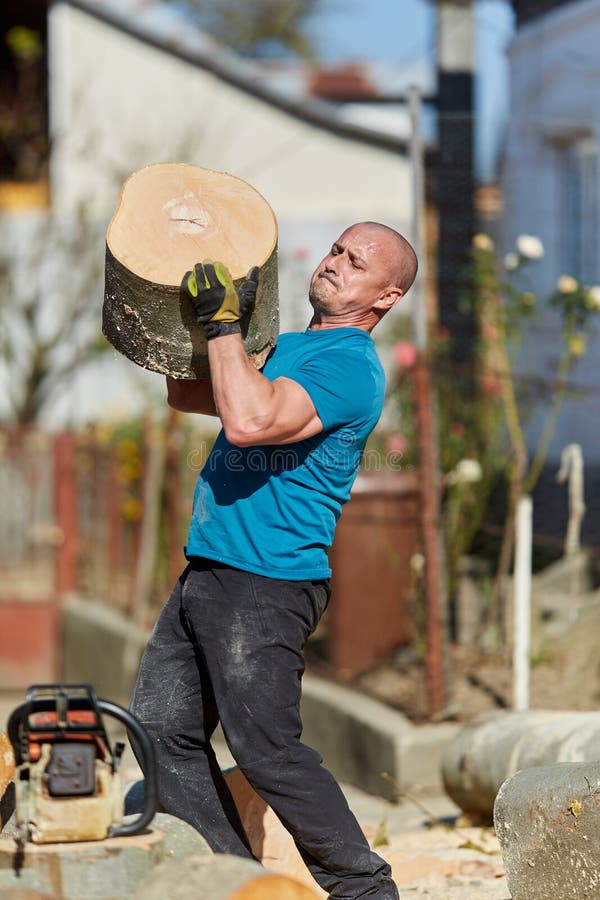 Fit Lumberjack Carrying Beech Logs Stock Image - Image of natural ...