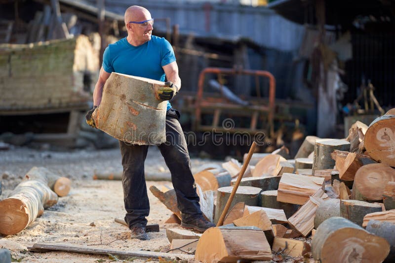 Fit Lumberjack Carrying Beech Logs Stock Photo - Image of outdoors ...