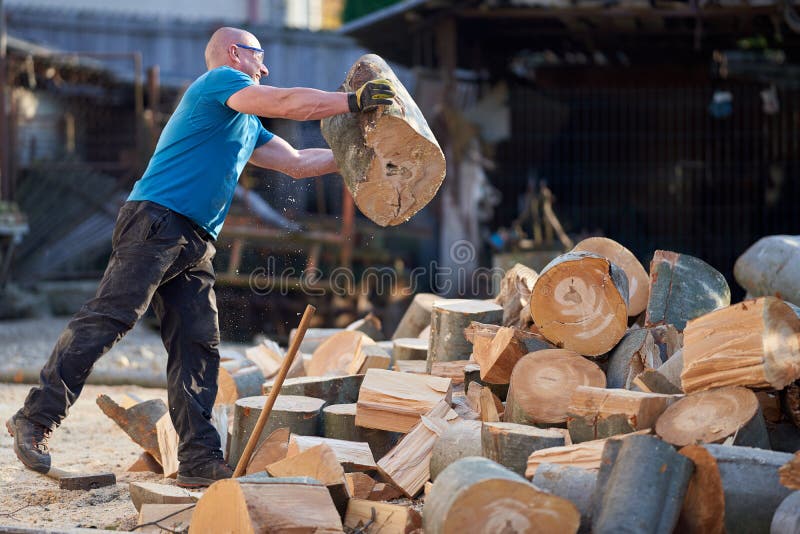 Strong Lumberjack Carrying Log On Shoulder Stock Photo - Image of ...