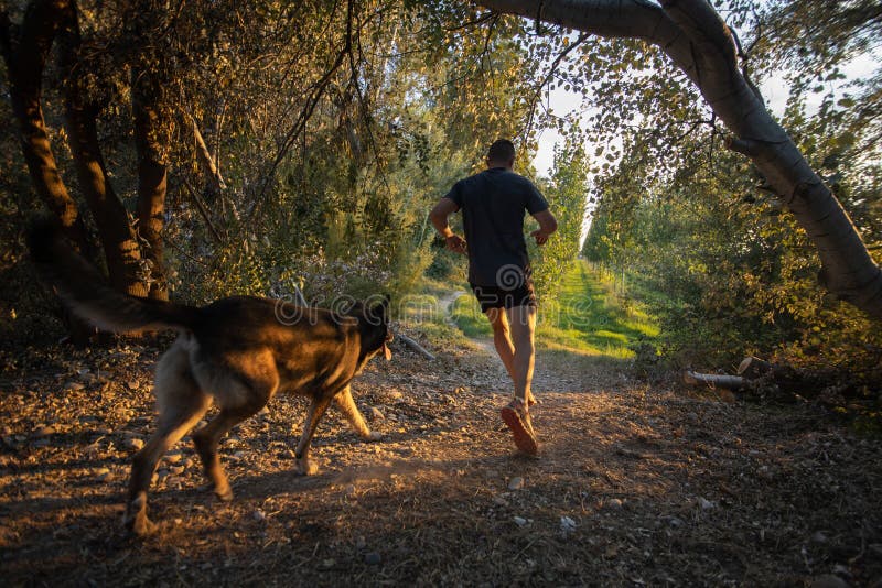 Fit Male Running in a Forest with His Dog Stock Image - Image of summer ...
