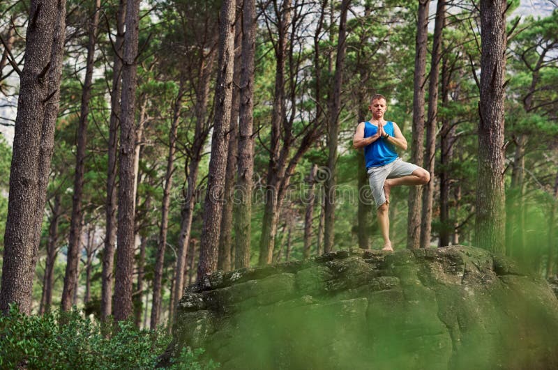 Fit Man Doing the Tree Pose Alone in a Forest Stock Photo - Image of ...