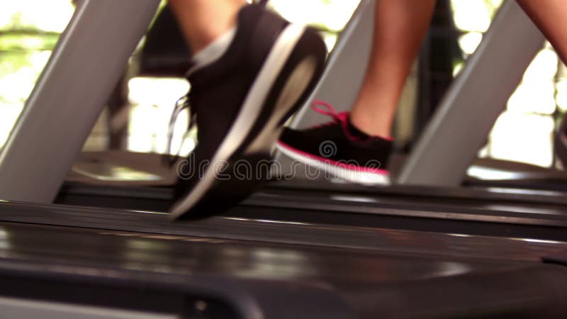 Two People Running Playful Holding Hands on Summer Travel Holidays ...