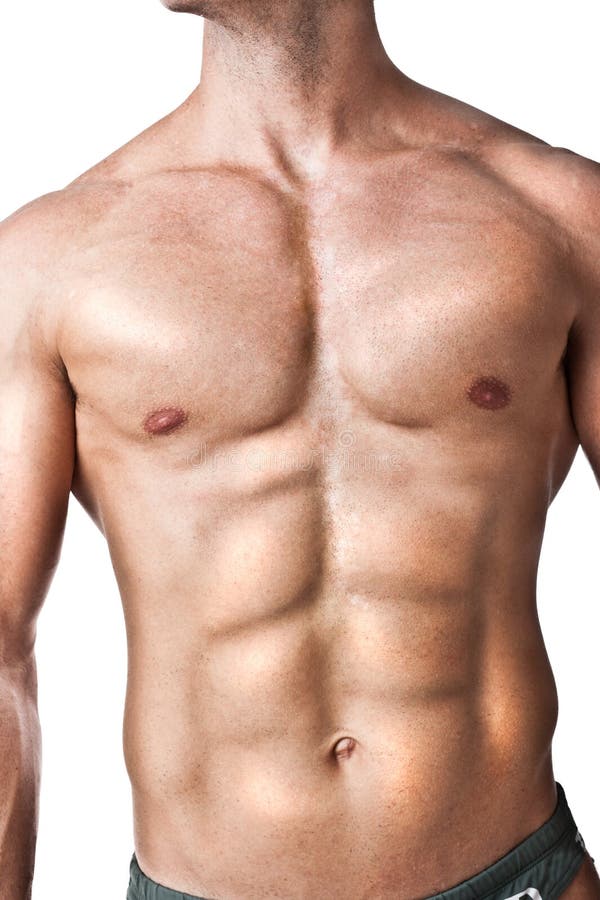 Torso with six pack stock image. Image of diet, young - 24480915