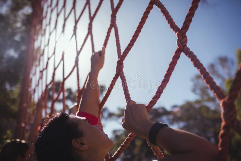 Fit Woman Climbing a Net during Obstacle Course Training Stock Photo ...