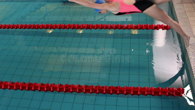 Woman Swimmer Jumping in Deep Water in Swimming Pool Slow Motion ...
