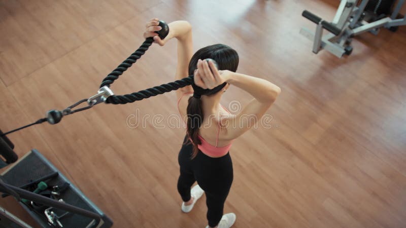 The Work of a Triceps Machine, Overhead Stock Video - Video of woman ...
