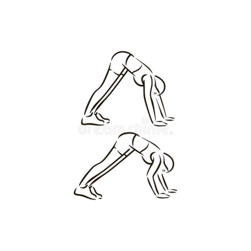 Fitness Exercise Work Out Illustration Vector on White Background Stock ...