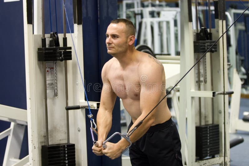 Fitness gym training stock photo. Image of body, bodybuilder - 919494