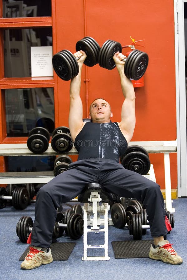 Fitness gym training stock photo. Image of biceps, bodybuilder - 919656