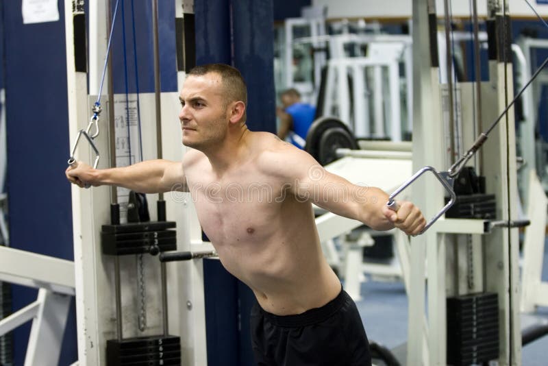 Fitness gym training stock image. Image of build, body - 921501