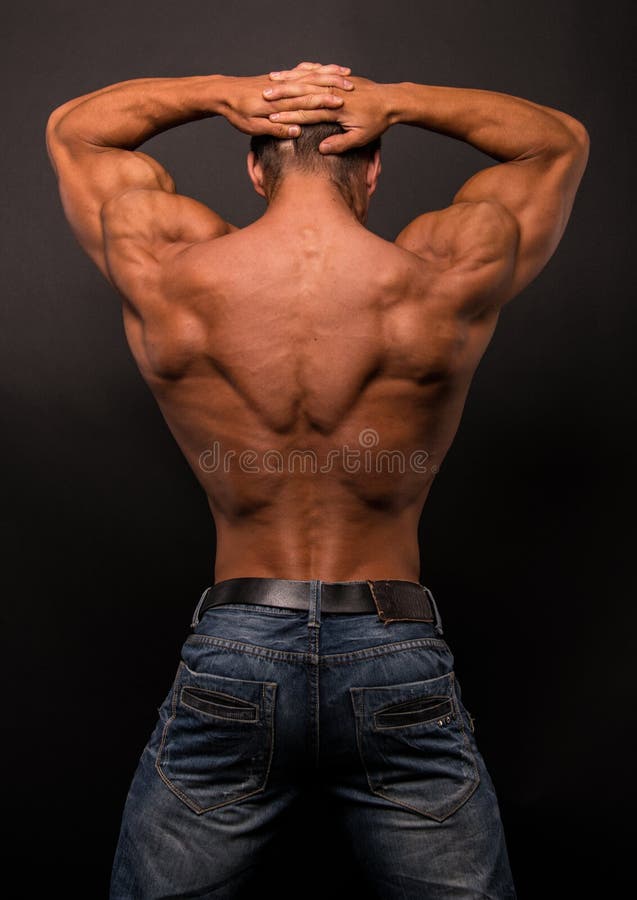 Fitness male torso stock image. Image of muscle, model - 48223603