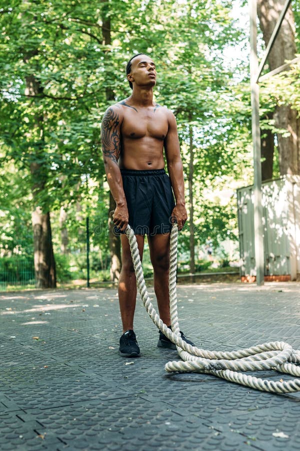 Fitness Man Standing Holding Two Battle Ropes Stock Photo - Image of ...