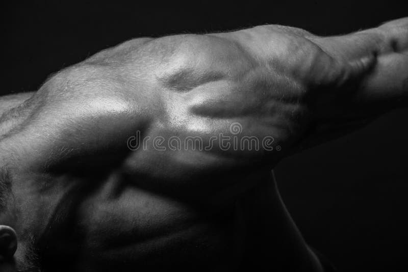 1,664 Buff Guy Stock Photos - Free & Royalty-Free Stock Photos from ...