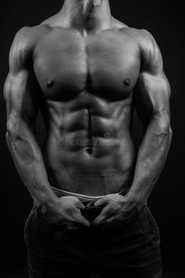 Fitness torso foto de stock. Imagem de ajuste, bloco - 220467340