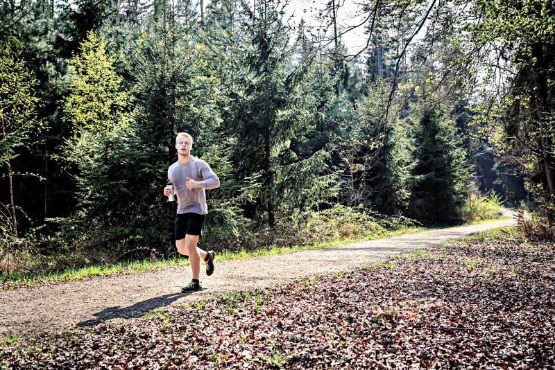 Fitness trail stock image. Image of jogging, running - 57181359