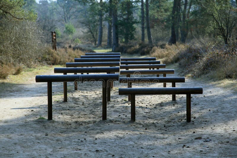 Fitness In The Wood Picture. Image: 13672351