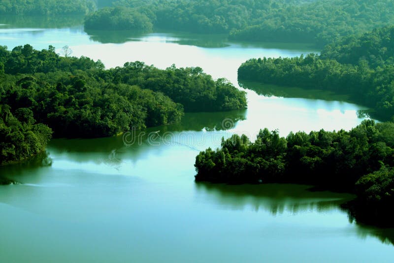 Fiume immagine stock. Immagine di fiume, malaysia, foresta - 12186271