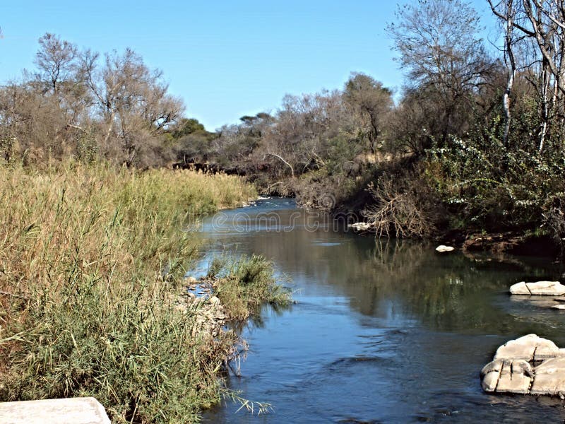 Fiume immagine stock. Immagine di fiume, africa, limpopo - 44251139