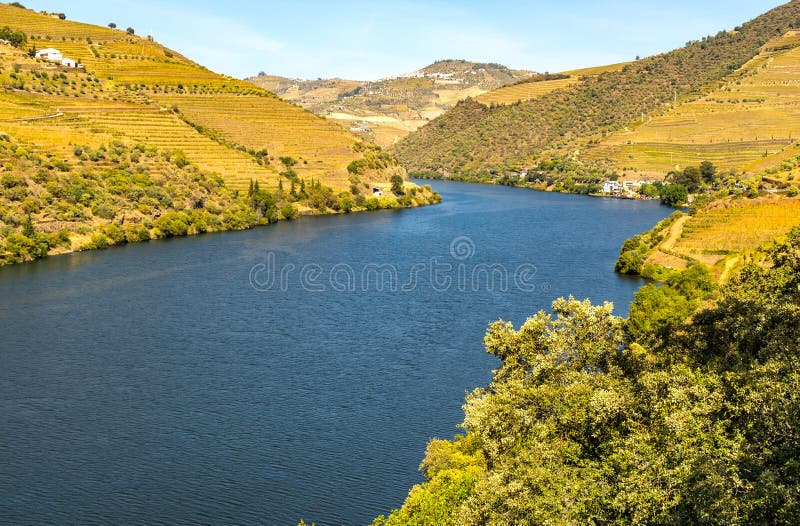 Douro River Valley immagine stock. Immagine di montagna - 102642503
