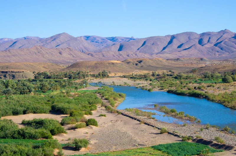 Fiume di Draa nel Marocco fotografia stock. Immagine di palma - 79287292