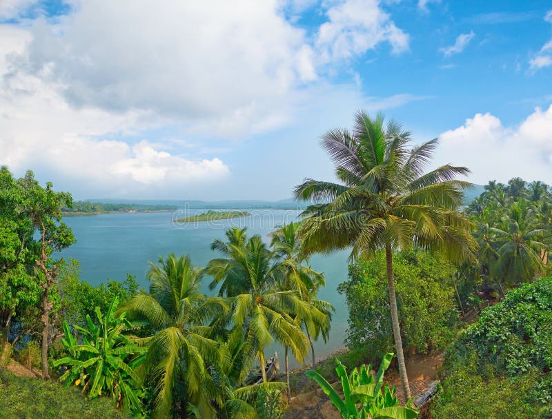Fiume Ed Isola Tropicali in Mezzo Al Suo Goa Immagine Stock - Immagine ...