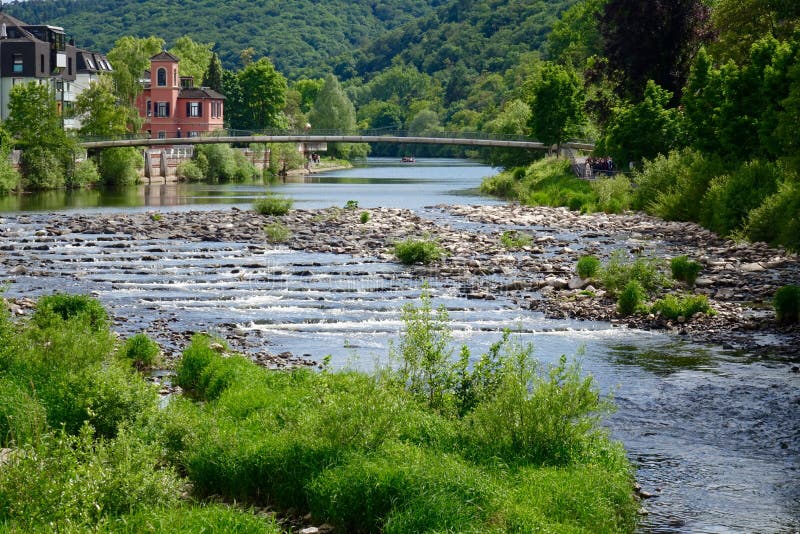 Fiume Fra Gli Alberi Ed I Cespugli Immagine Stock - Immagine di ...