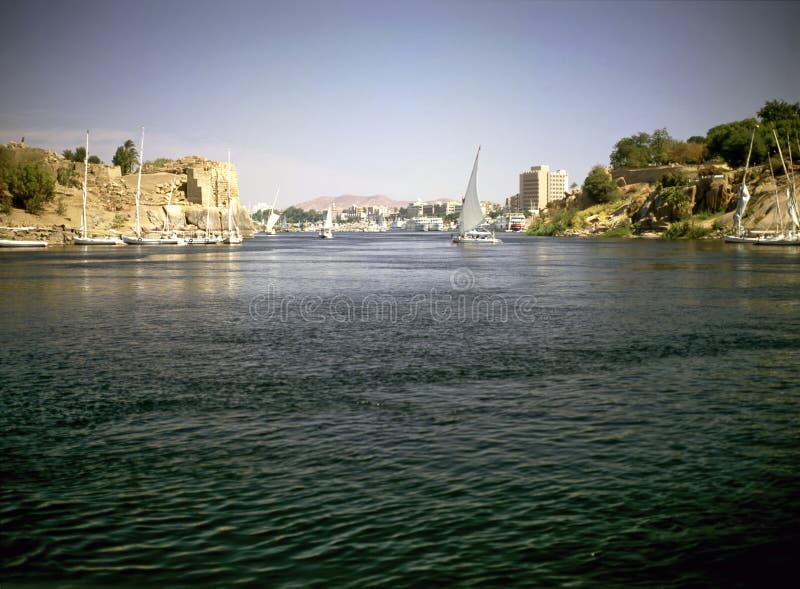 Fiume Nilo a Luxor, Egitto immagine stock. Immagine di flora - 56211599