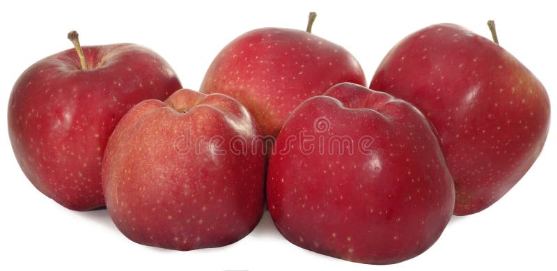 Five apples stock photo. Image of white, vegetarian, apple - 7194572 Five apples stock photo. Image of white, vegetarian, apple - 7194572