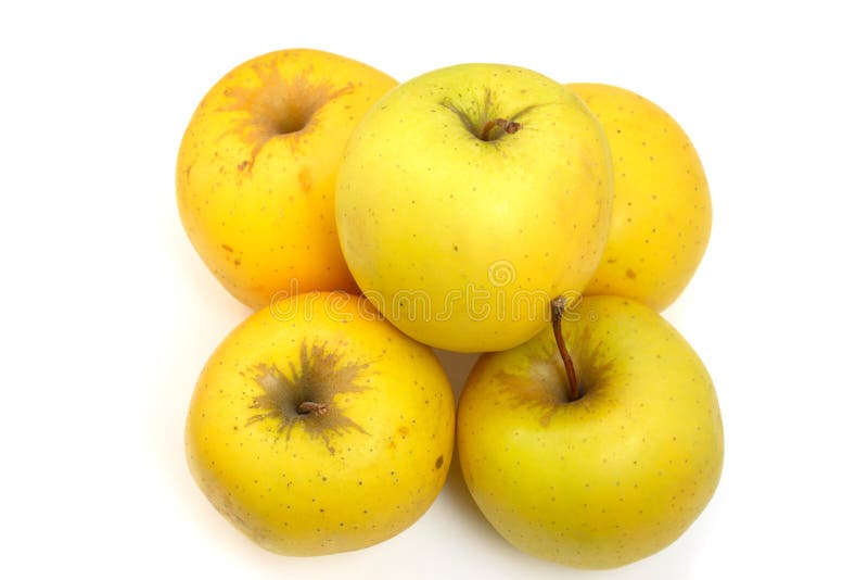 Five apples stock photo. Image of grocers, healthy, succulent - 2605932