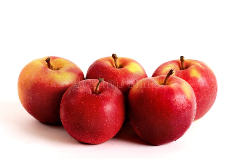 Five apples stock photo. Image of round, five, selection - 3176672