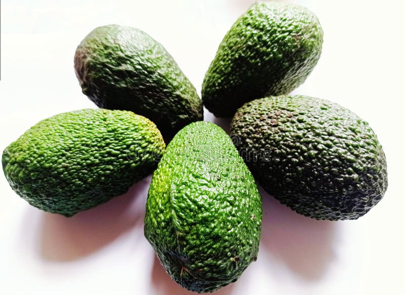 Five Avocados Form a Flower Isolated on White Background Stock Photo ...