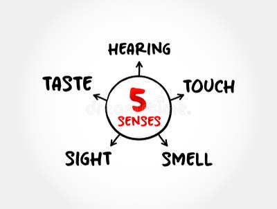 Basic Taste Stock Illustrations – 421 Basic Taste Stock Illustrations ...