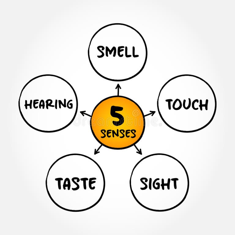 Five Basic Human Senses: Touch, Sight, Hearing, Smell and Taste, Mind ...