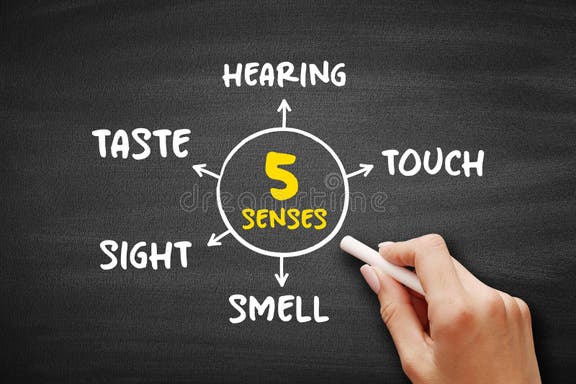 Five Basic Human Senses: Touch, Sight, Hearing, Smell and Taste, Mind ...