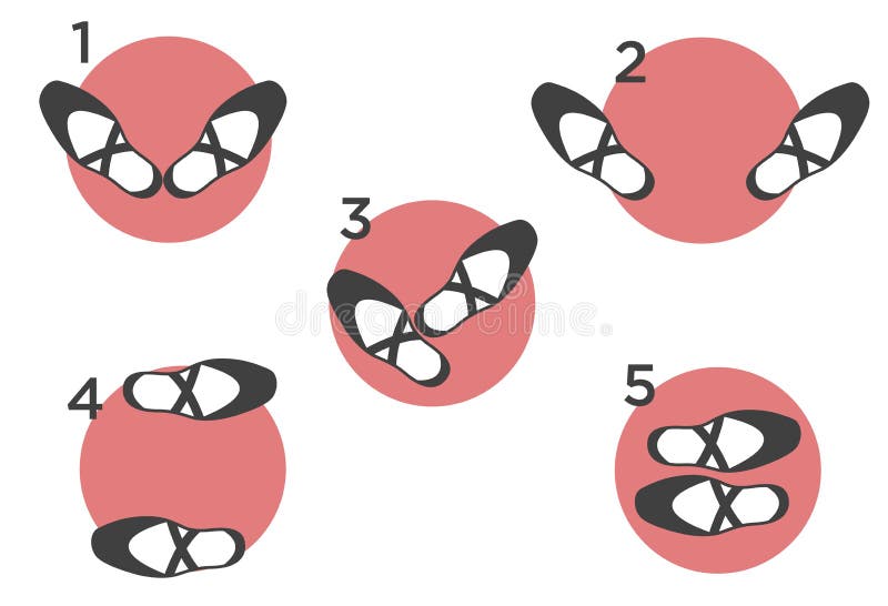 Basic Ballet Positions Stock Illustrations – 10 Basic Ballet Positions ...