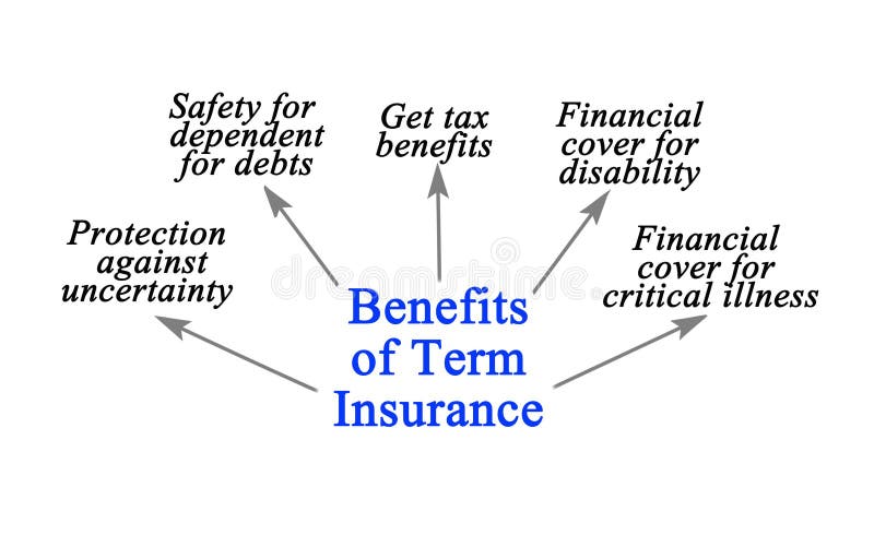 Term insurance line icon stock vector. Illustration of vector - 280143457
