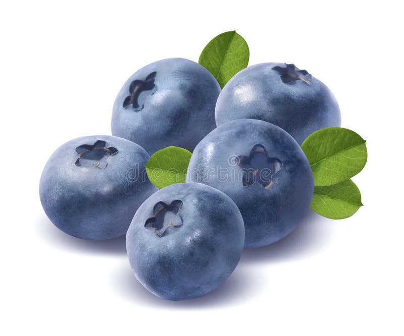 Five Blueberries on White Background Stock Image - Image of nutrition, leaves: 44515107