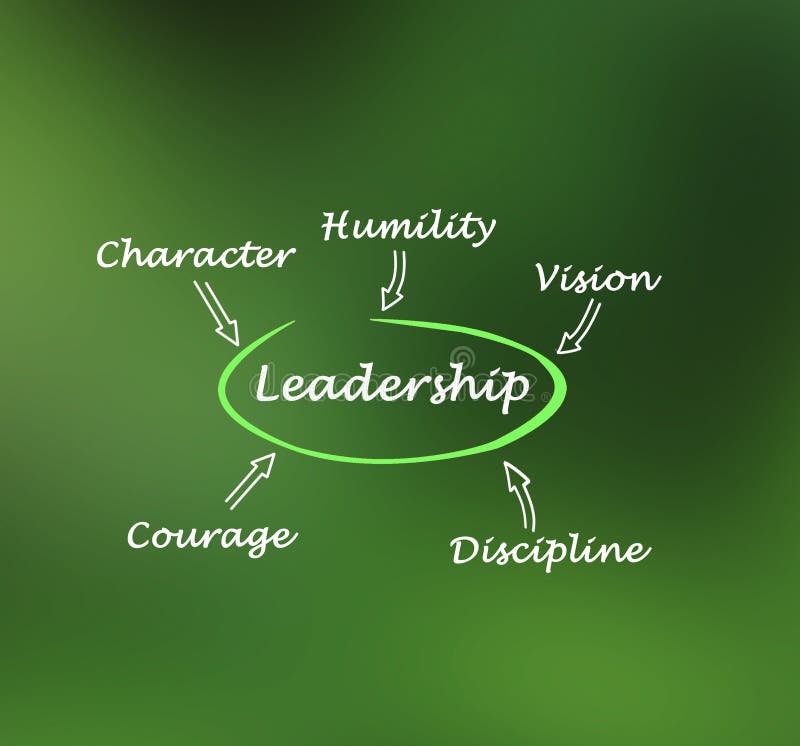 Diagram of Leadership Skills Stock Illustration - Illustration of ...