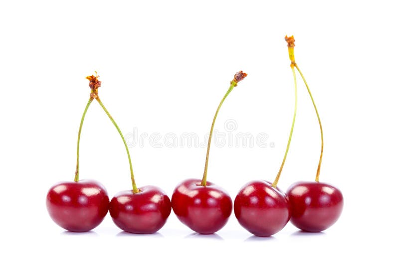 207 Five Sour Cherries Stock Photos - Free & Royalty-Free Stock Photos ...
