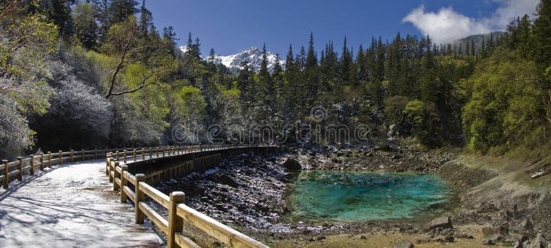 Five Color Lake Jiuzhaigou Np Sichuan Stock Photo - Image of china ...